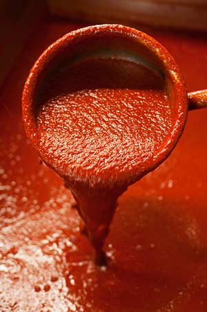 Ramona's Mexican Food | Home