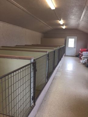 Dog Boarding | Spring Branch, TX | Seven Oaks Kennel