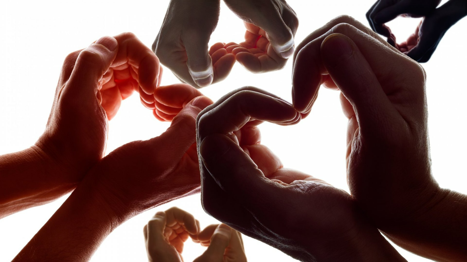 RRSP or RRIF Donations - What You Need To Know...