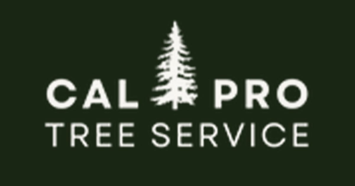 Professional Tree Services – Santa Rosa, CA – Cal Pro Tree