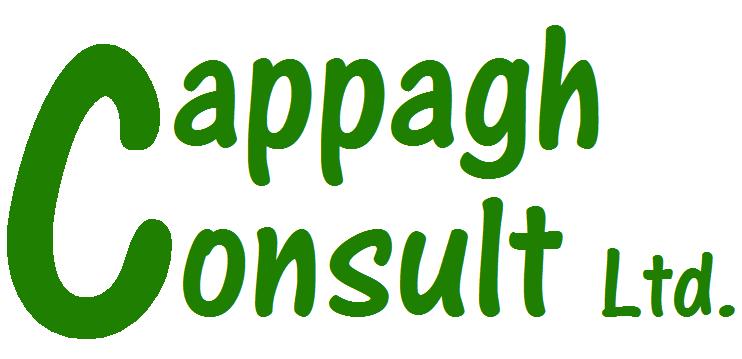 Cappagh Consult Ltd