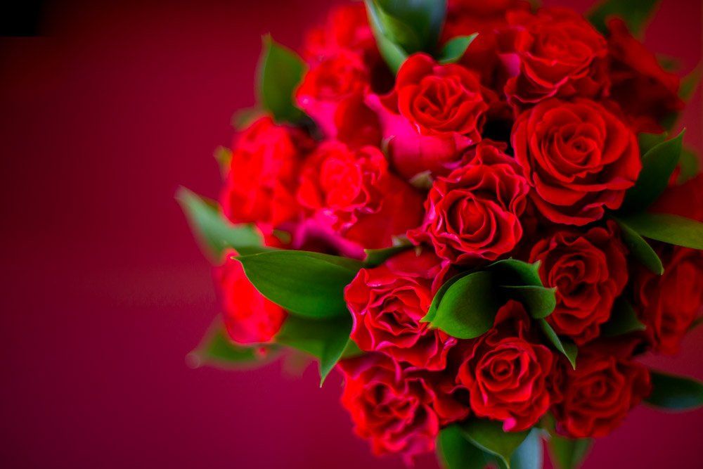 les fleurs pour l'amour par Absolument fleurs Amiens