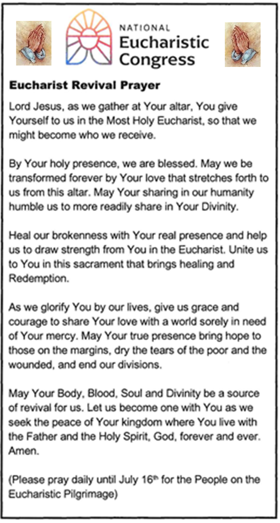 Home [www.icda-us.org]