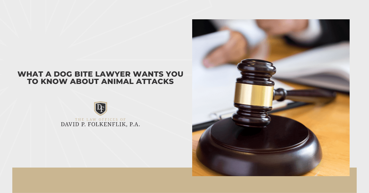 What a Dog Bite Lawyer Wants You to Know About Animal Attacks
