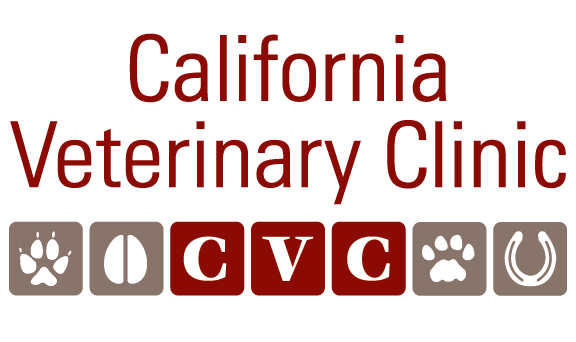 Trusted Animal Hospital | Central MO | California Vet Clinic