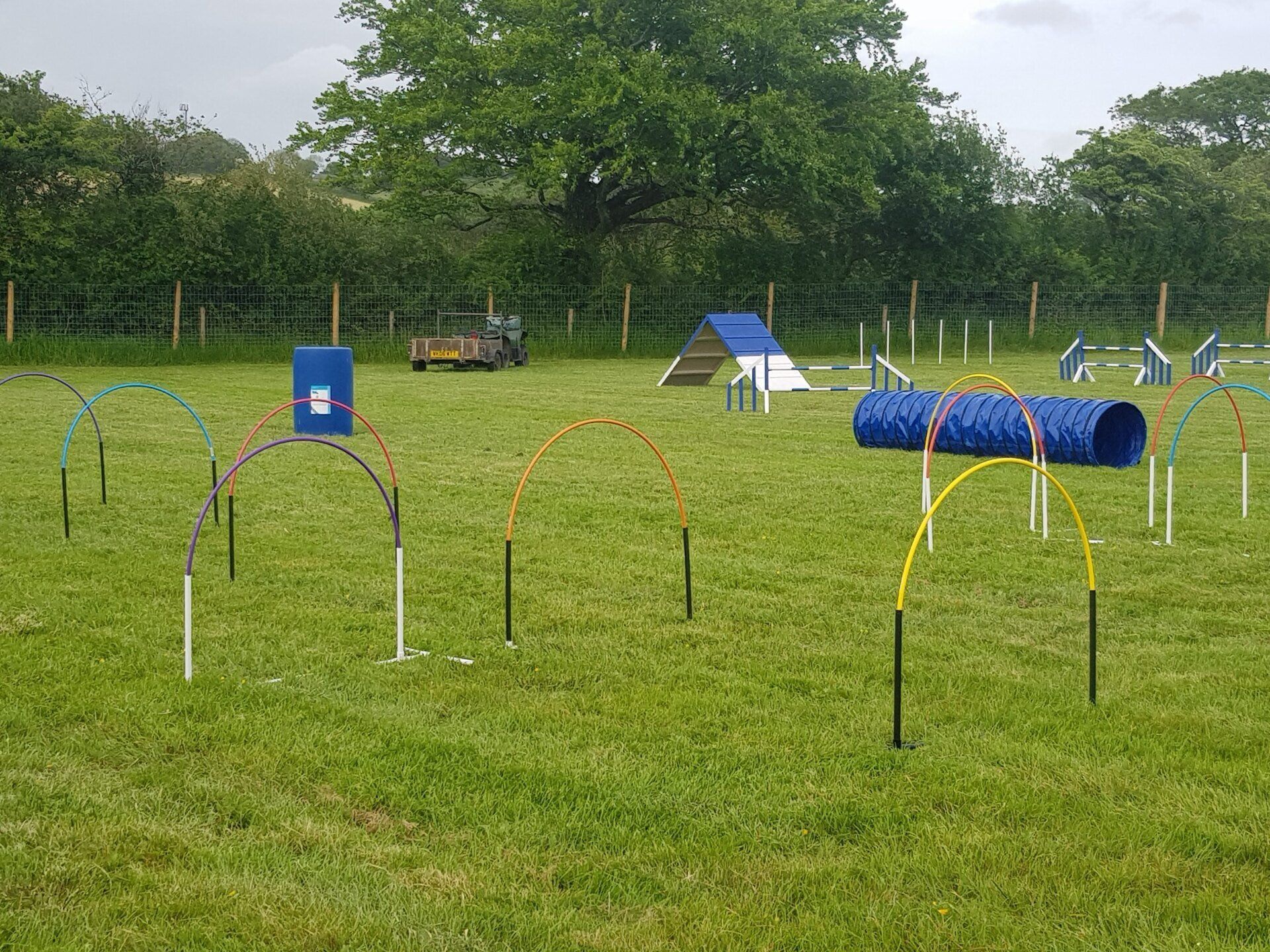 Woodlands Farm Dog Fields