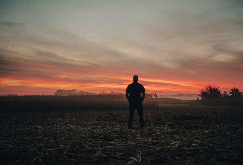USDA Opens Farmer Bridge Payments – Apply by April 17