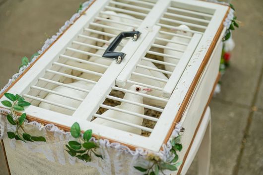 Stuart Funeral Service | Brooklyn, NY