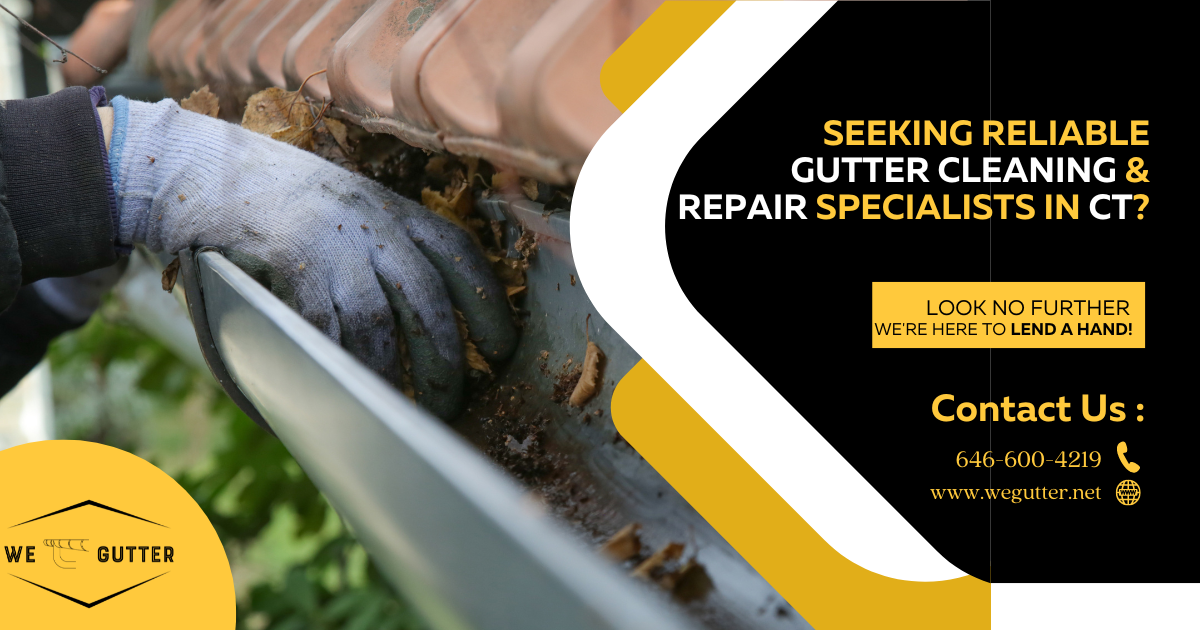 Professional Gutter Cleaning & Repair Services | Free Estimates