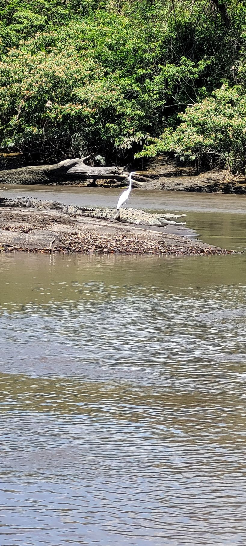 River Tour | Colinas del Sol