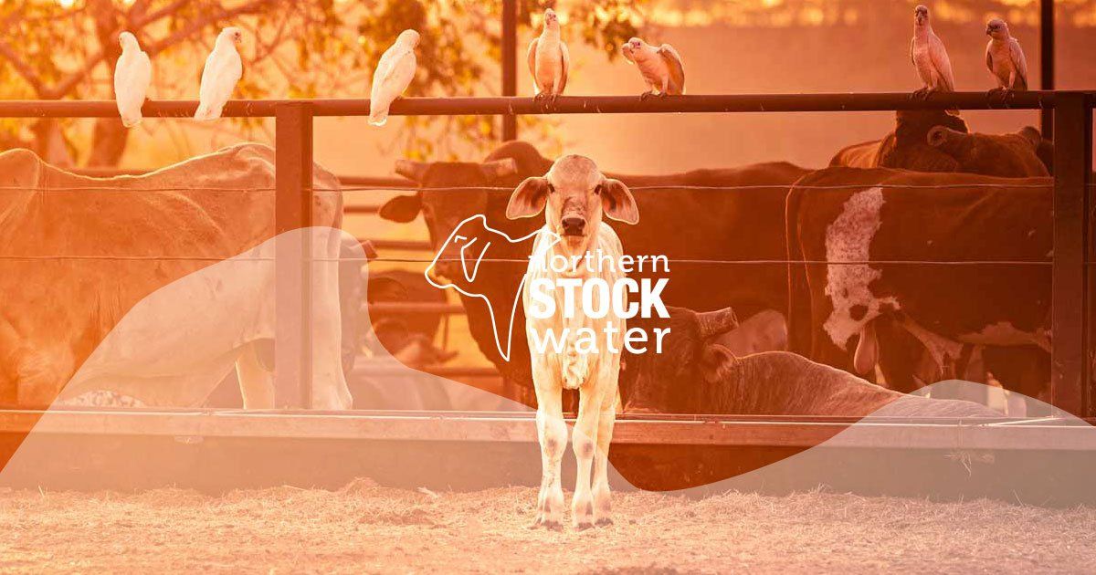 About - Northern Stock Water