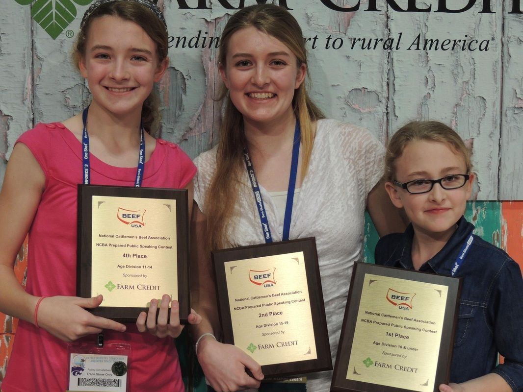 Minnesota CattleWomen