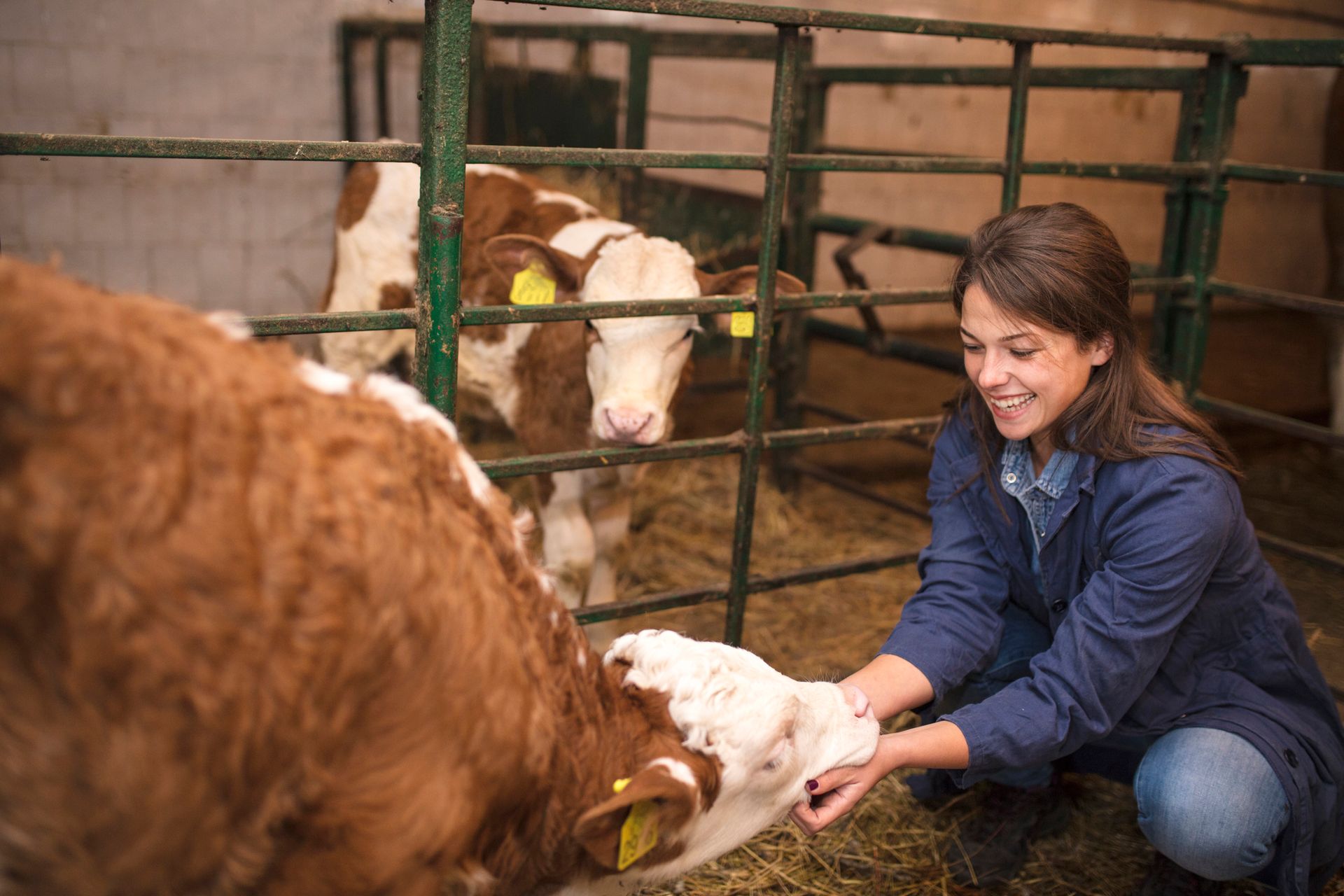 Minnesota CattleWomen | Women in the Beef Industry