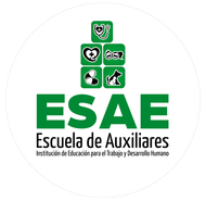 ESAE ⭐ Escuela de Auxiliares