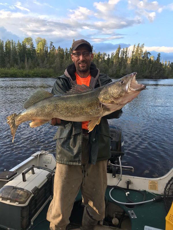 Ontario Fishing Cabin, Camp, Ontario Bear hunting, Moose Hunt, Canada ...