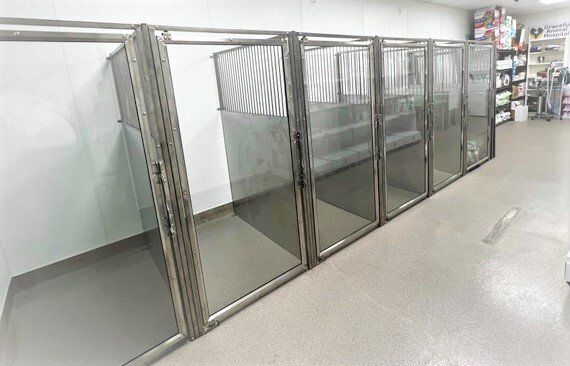 Veterinarian - Graceful Animal Hospital - Rancho Cucamonga, CA