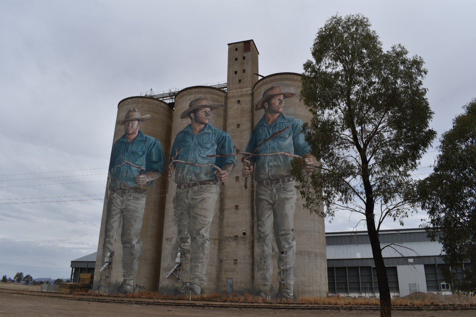 Barraba Silo Art