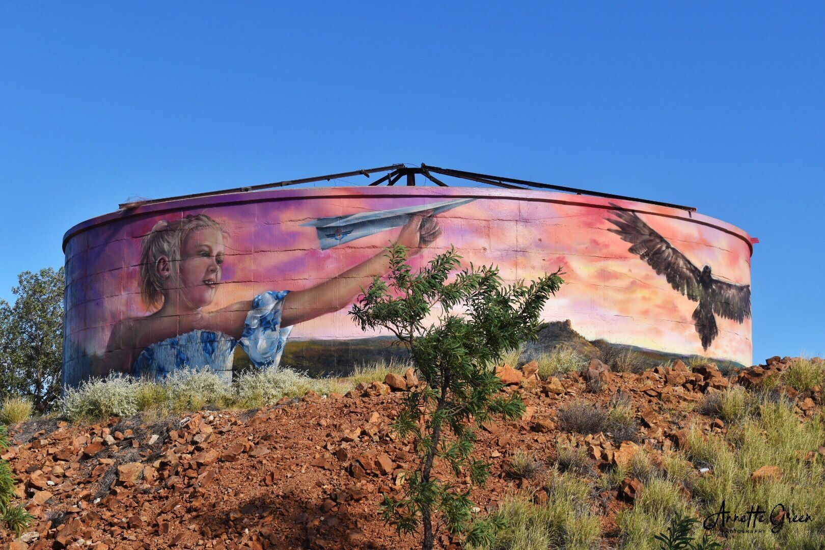 Cloncurry Water Tank Art