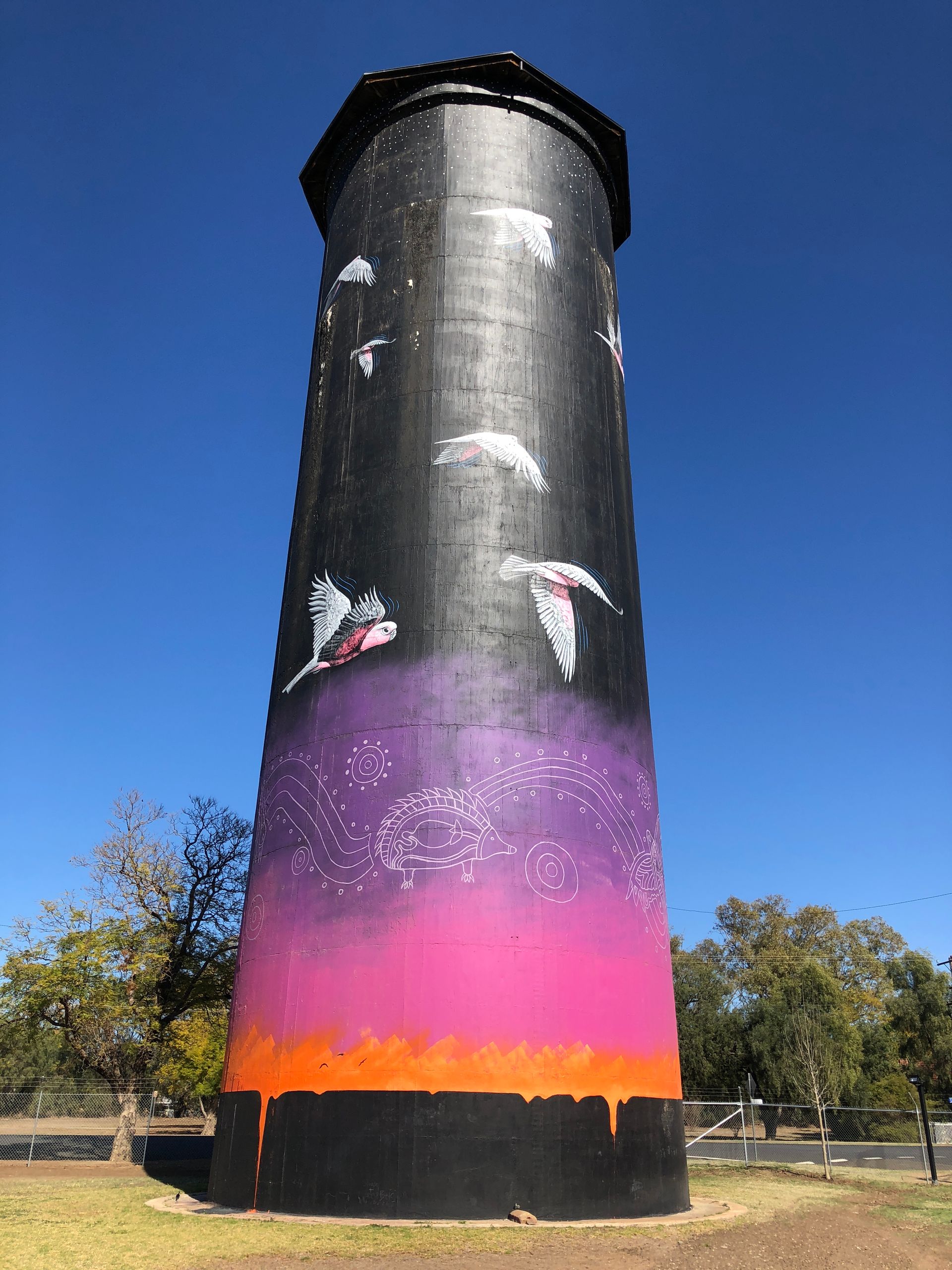 Coonamble Water Tower Art