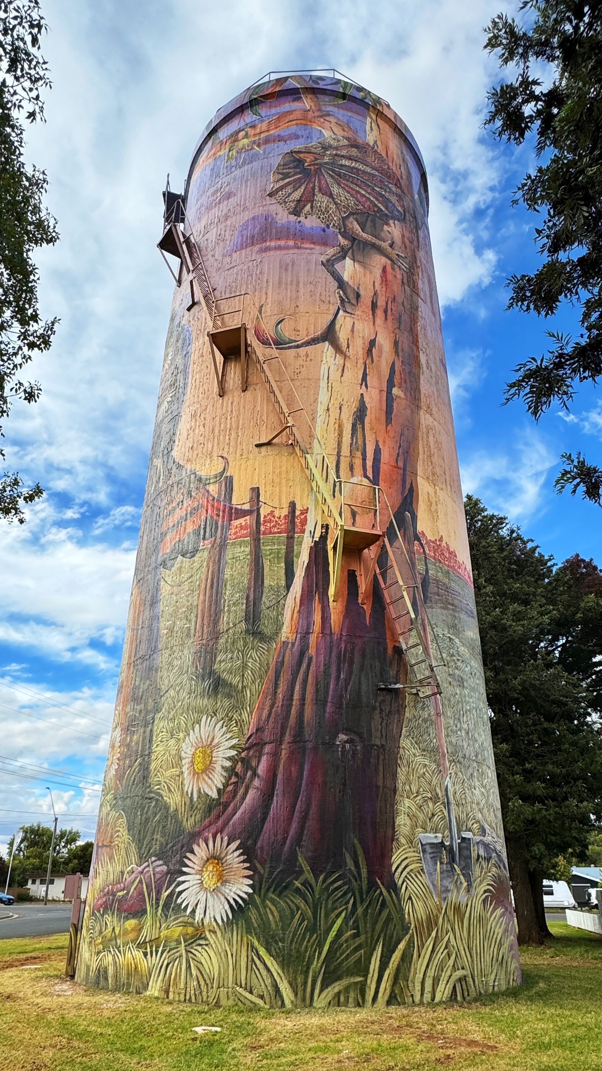 Hillston, Water Tower Art