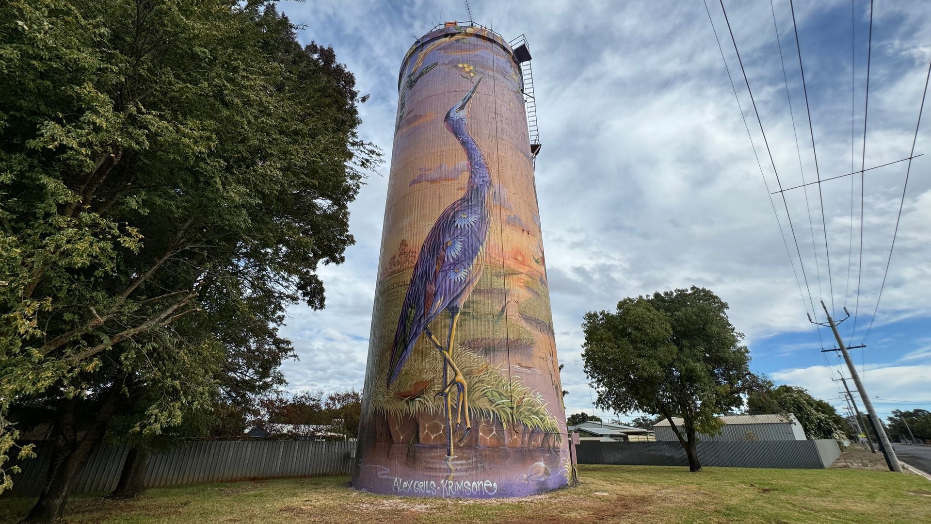 Australian Water Tower Art