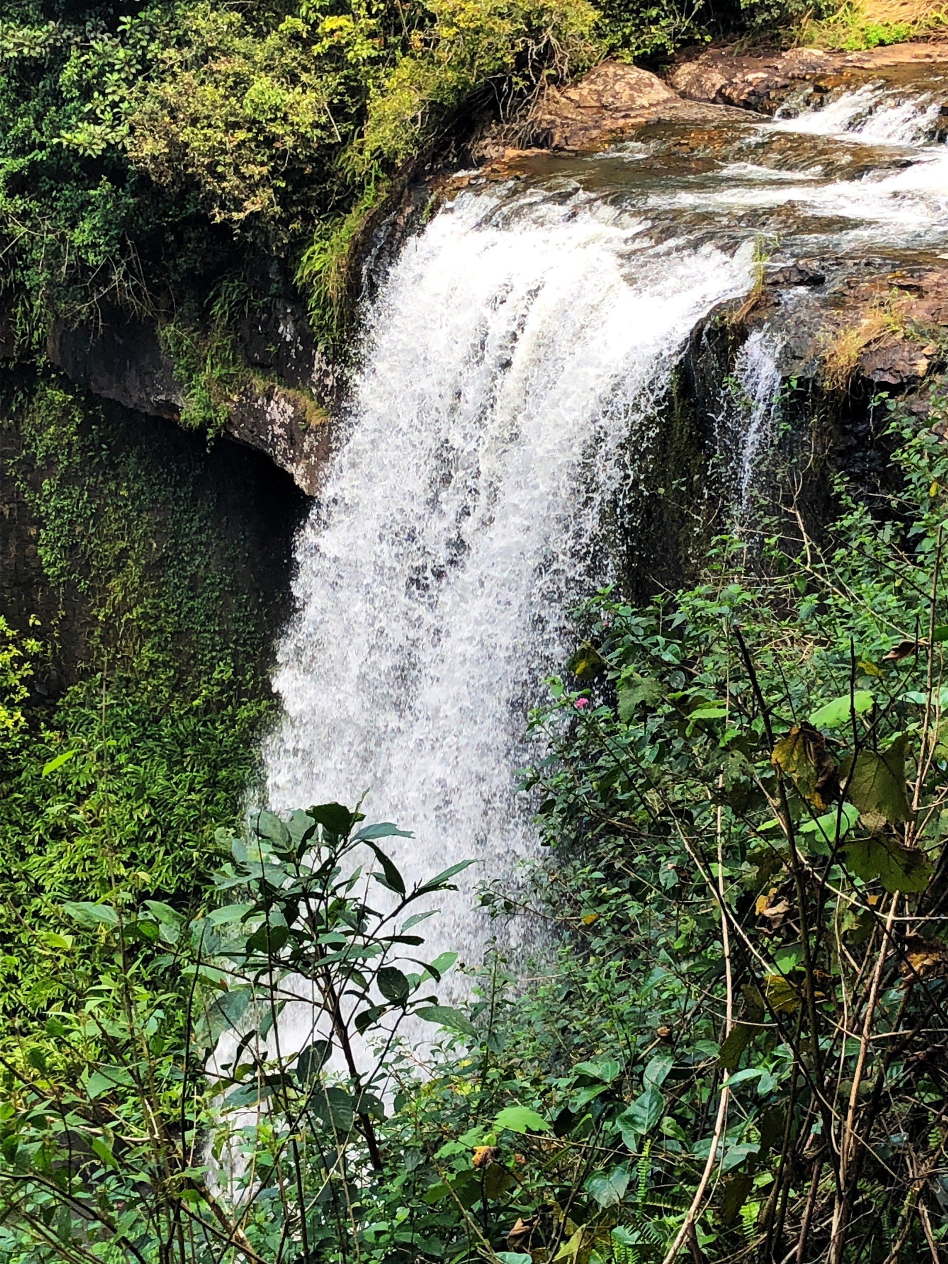 8 Queensland Waterfalls in 8 hours