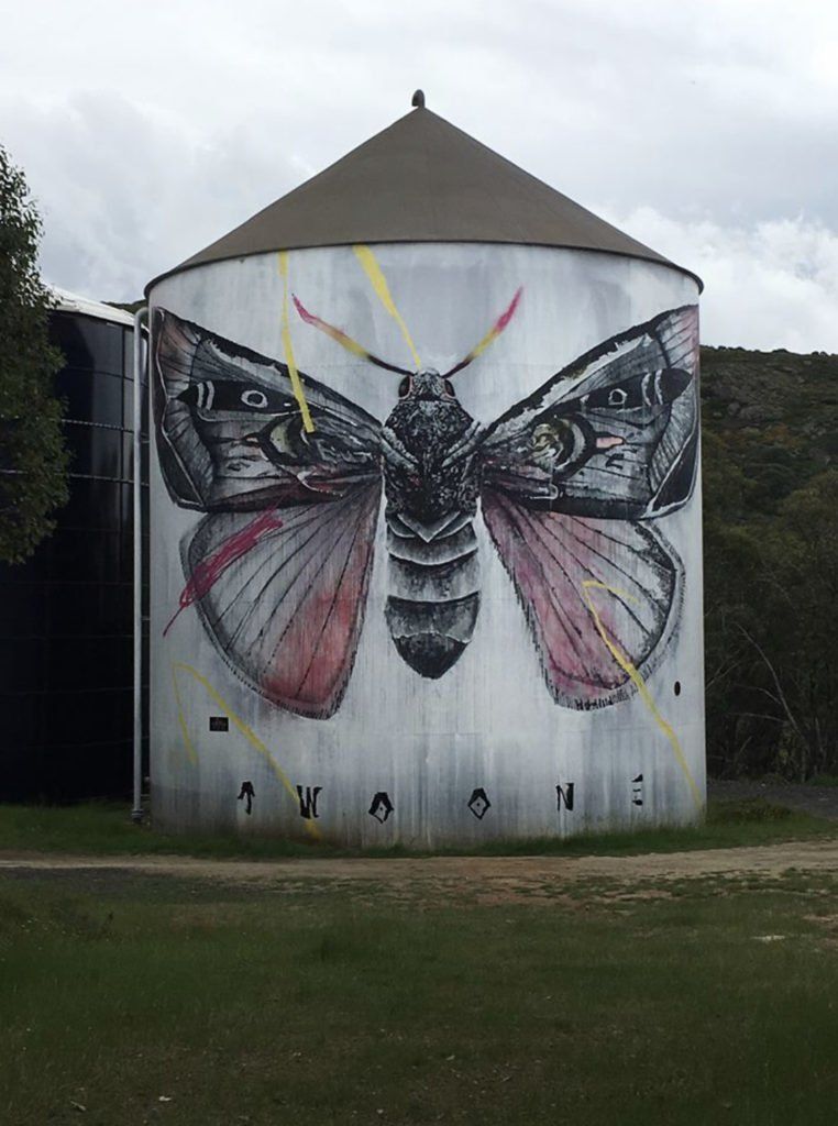 Victorian Water Tower Art Locations