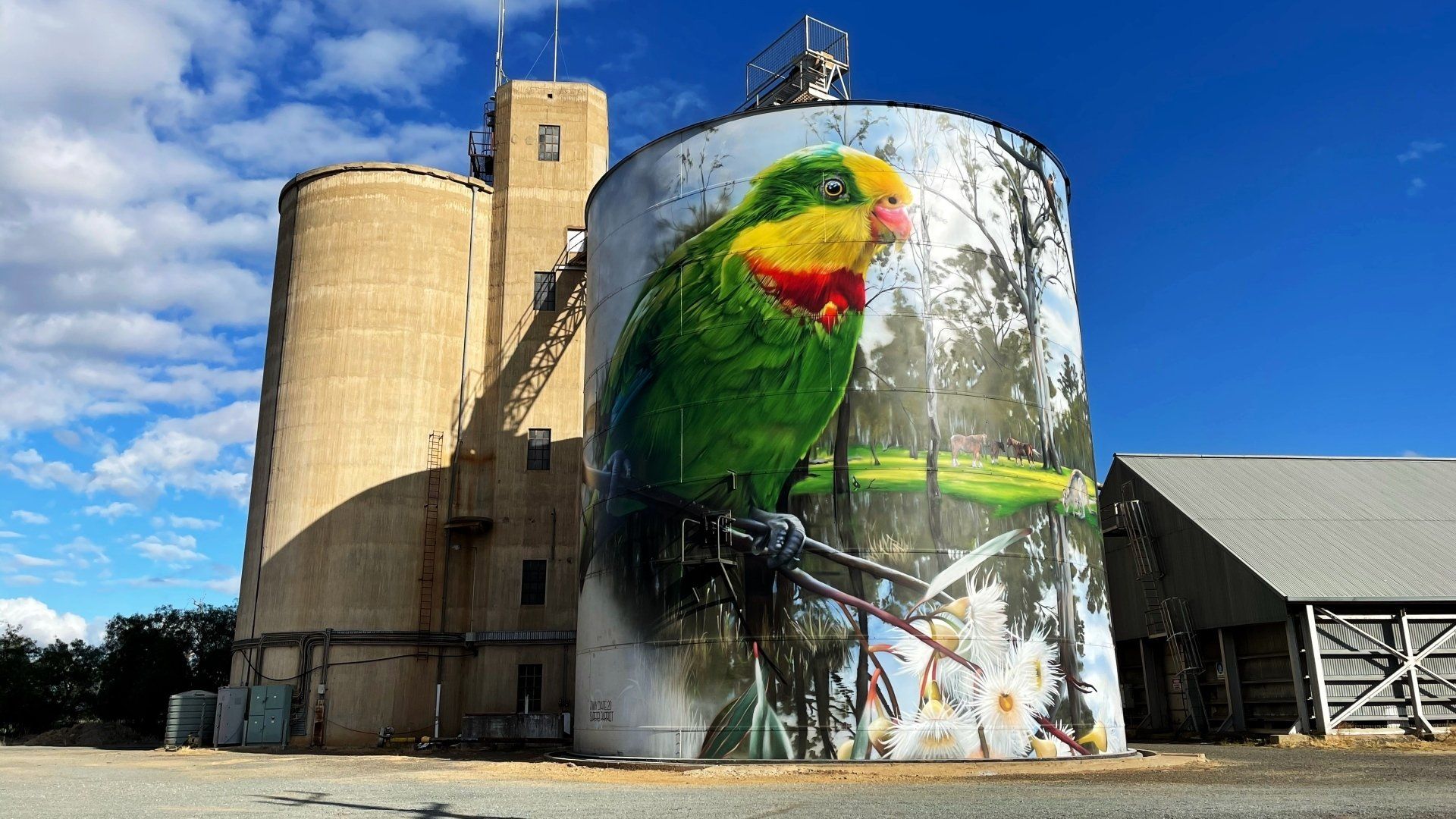 Picola Silo Art
