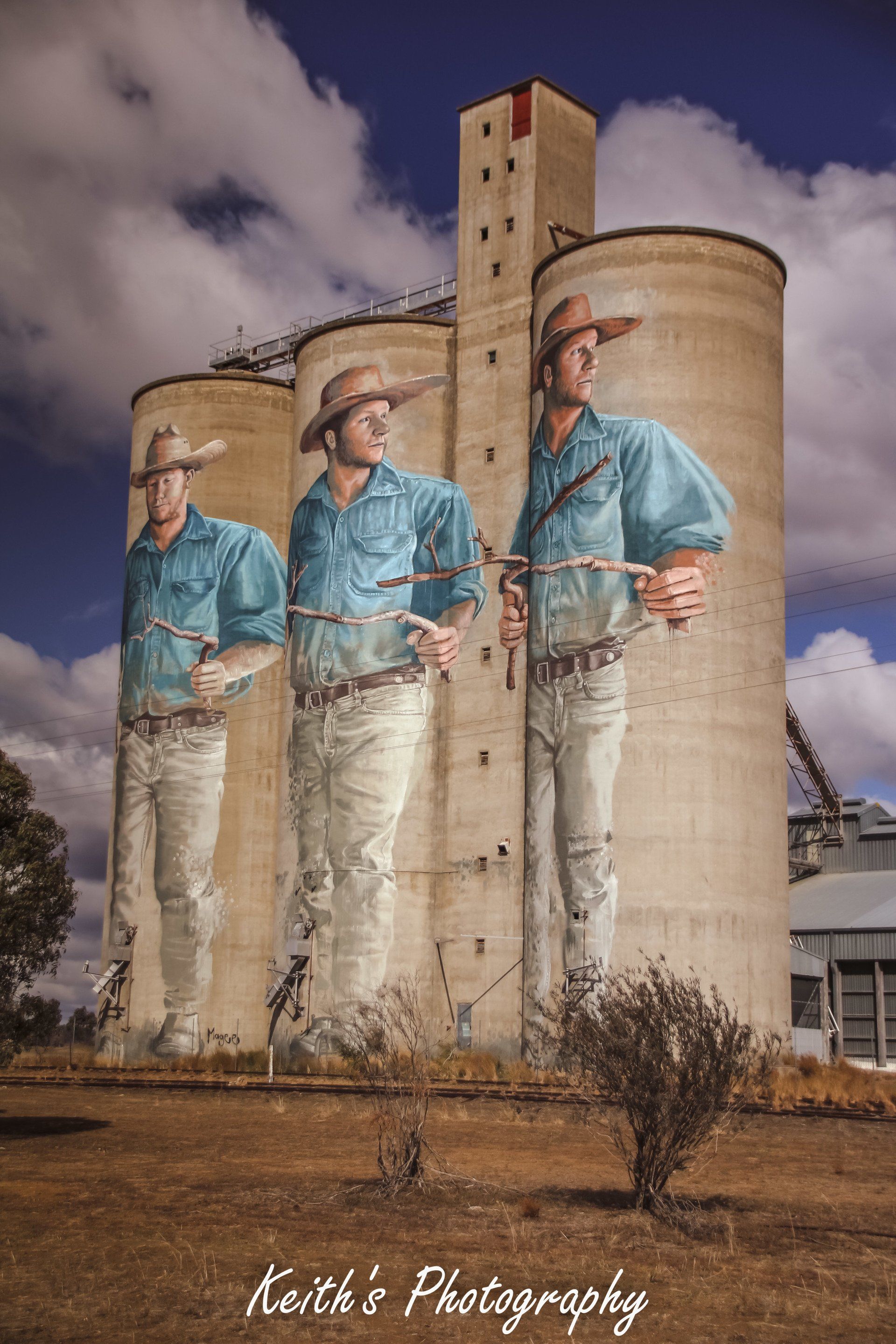Australian Silo Art Trail Gallery of Photos
