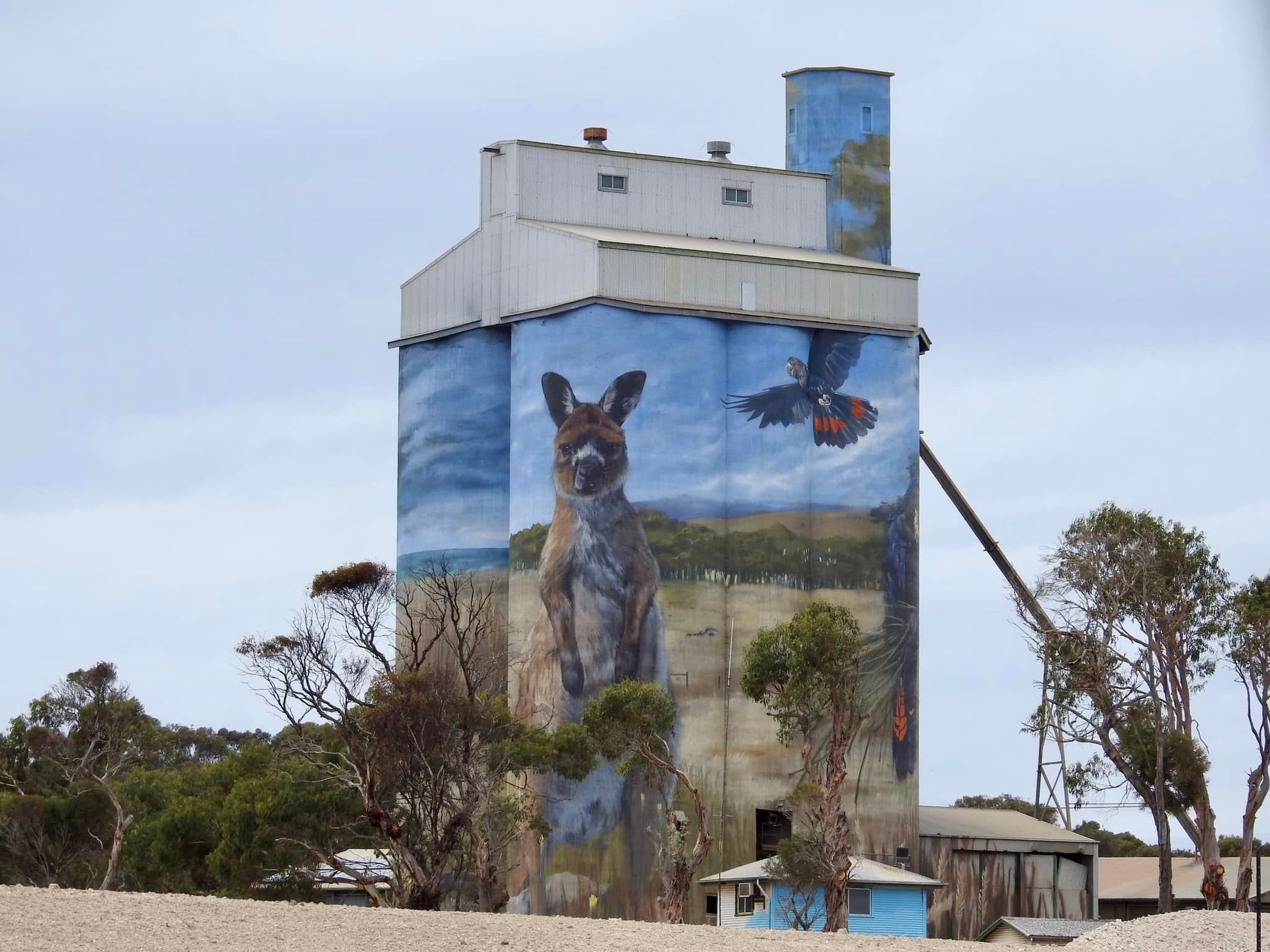Australian Water Tower Art