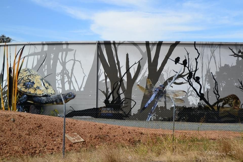Kyabram Water Tank Art
