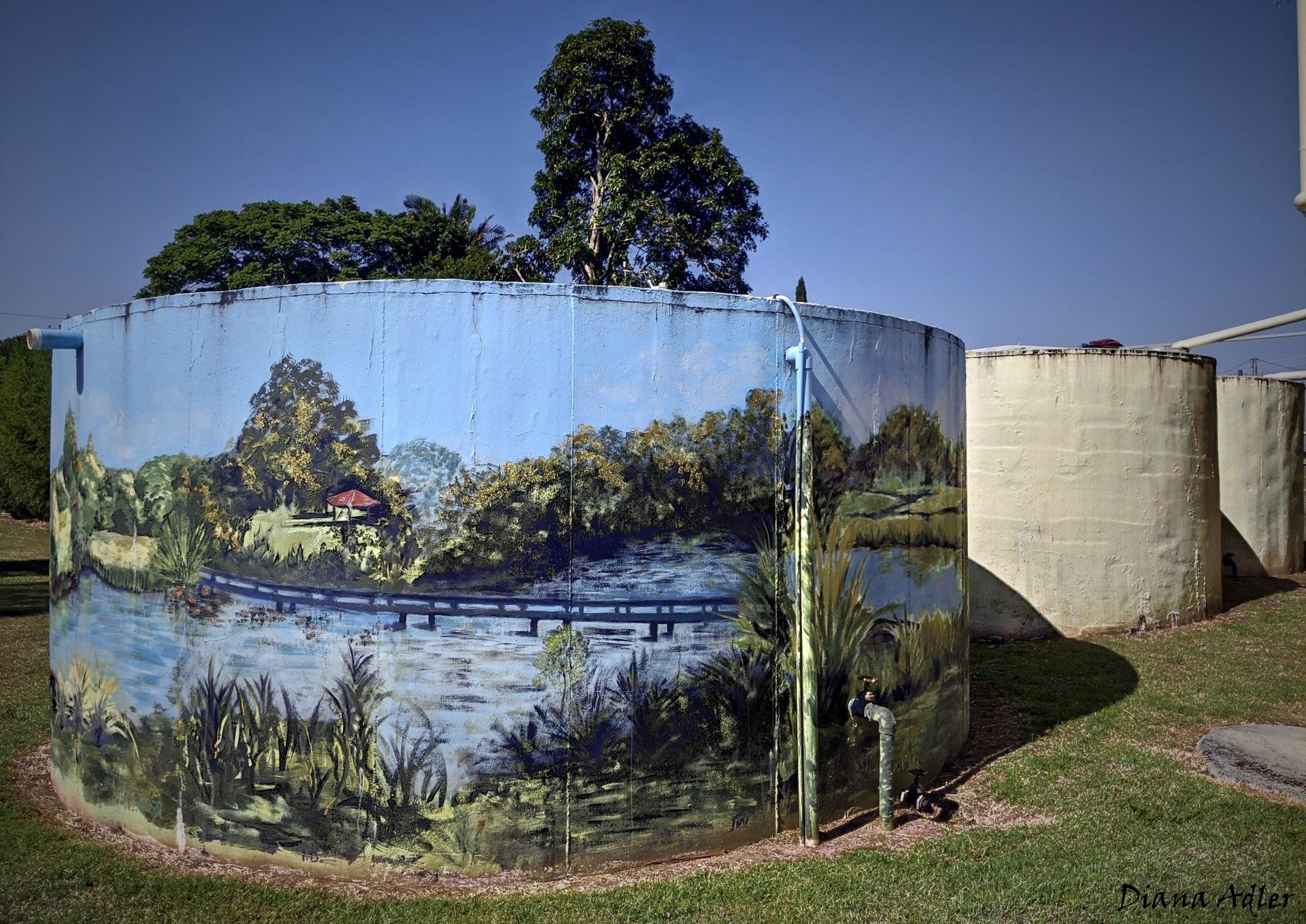 Mapleton Lily Ponds Water Tank Art