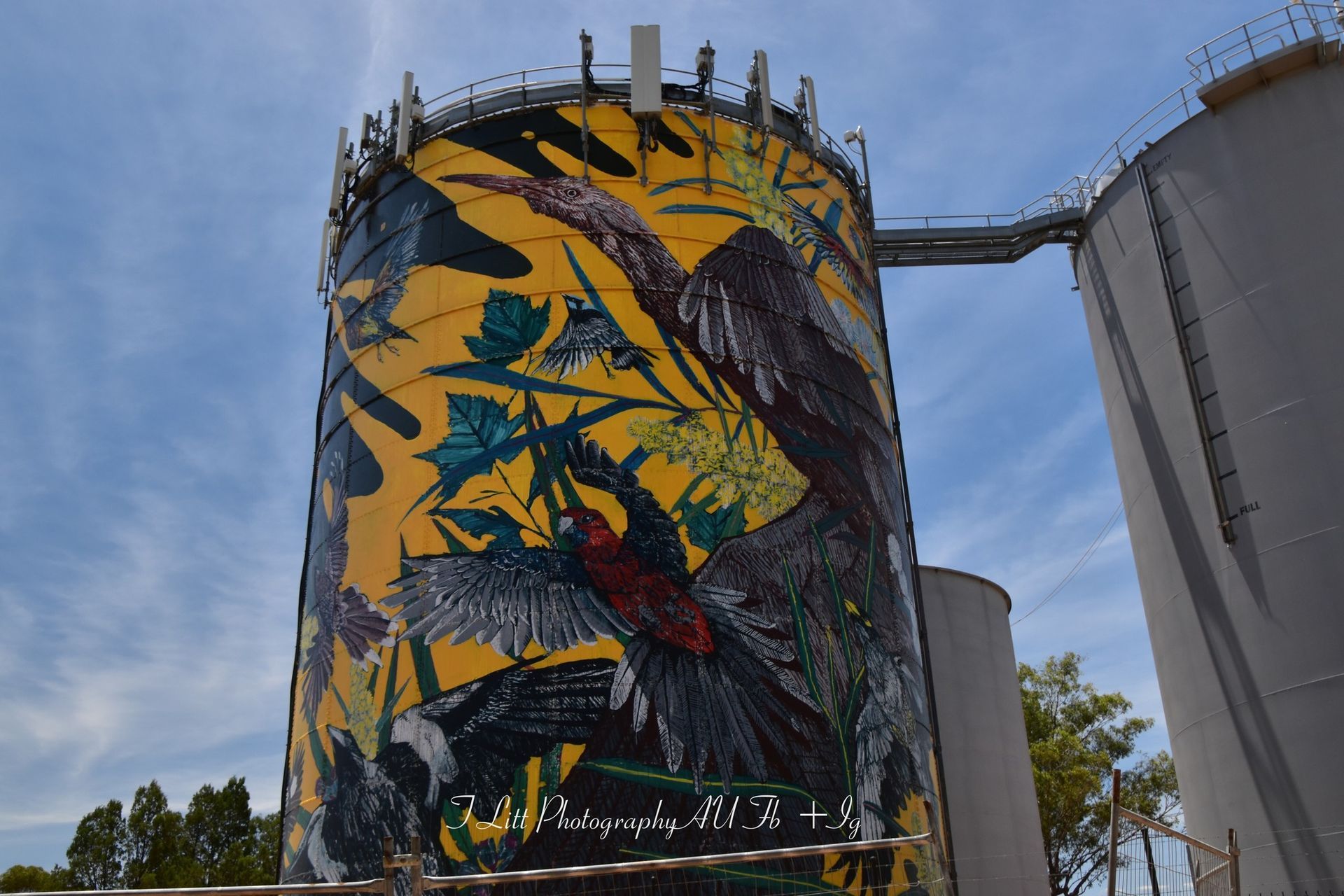 Moama Water Tower Art, australian Silo Art Trail