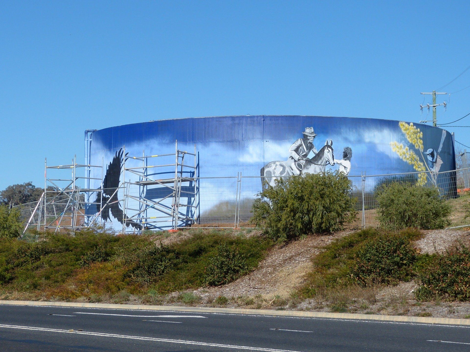 Molong Water Tank Art