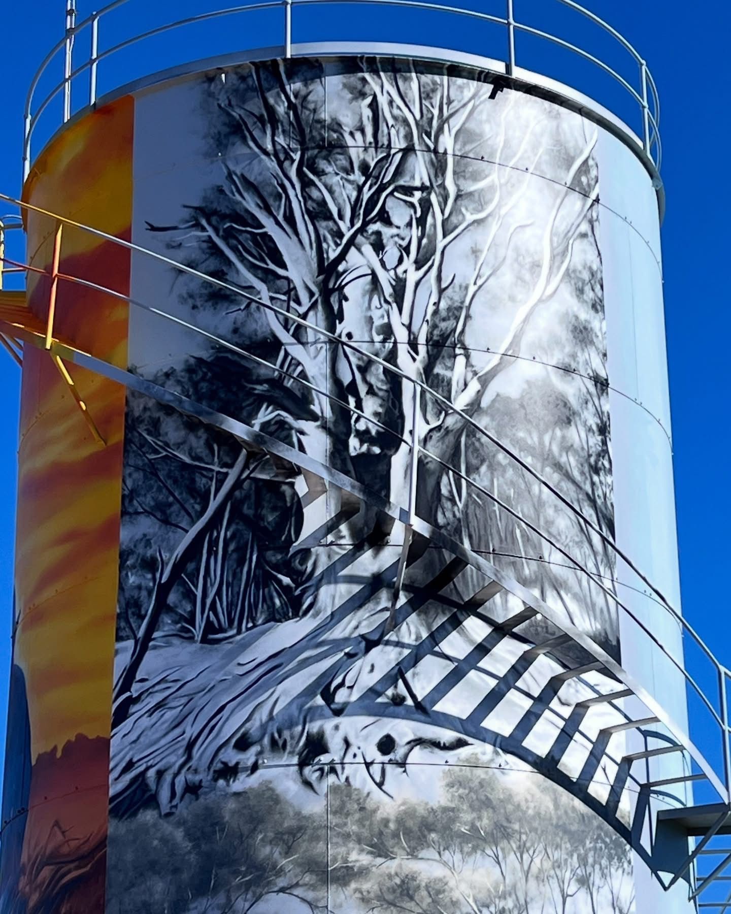 Moulamein, Water Tower Art