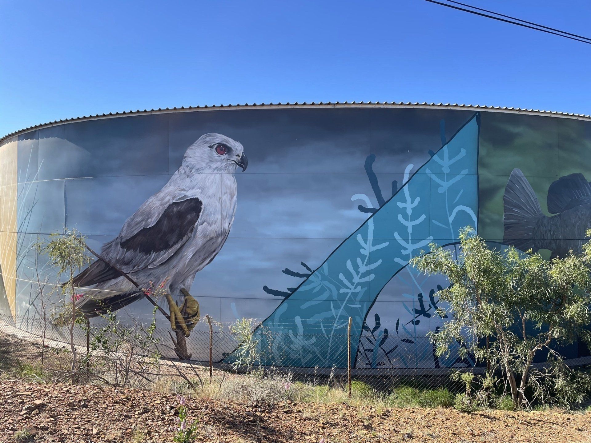 Mount Isa Water Tank Art