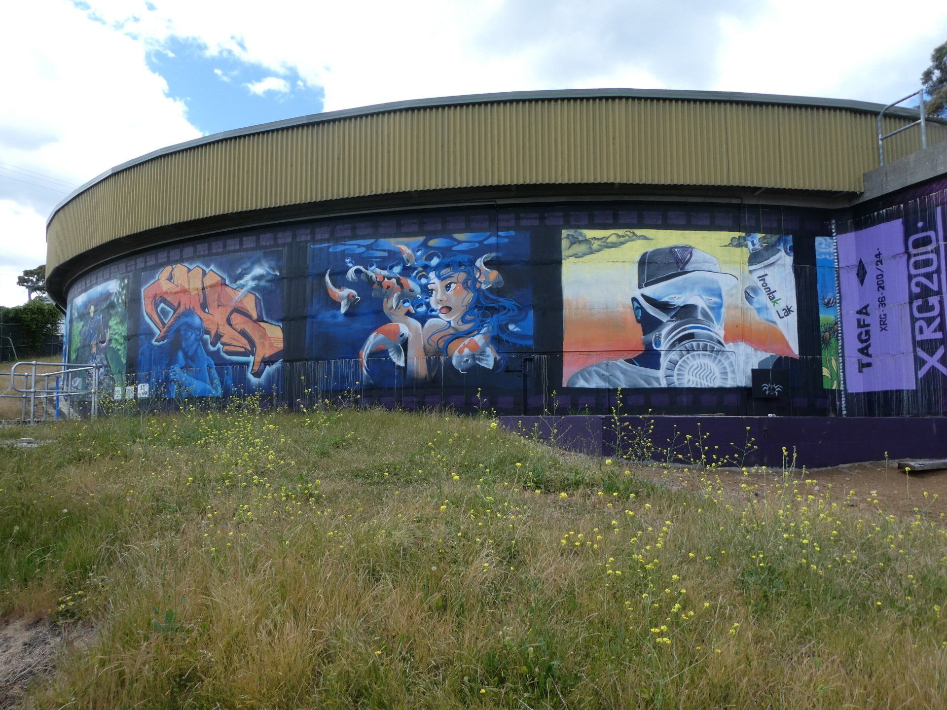 Mount Stuart Water Tank Art