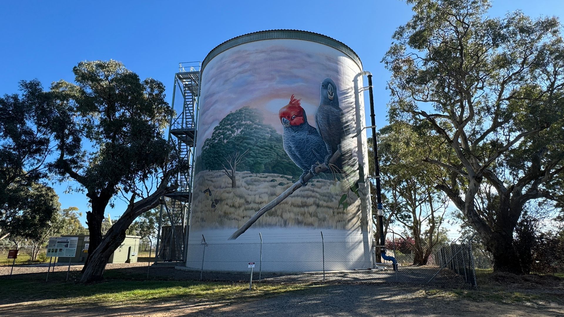 Murrumbateman Water Tank Art