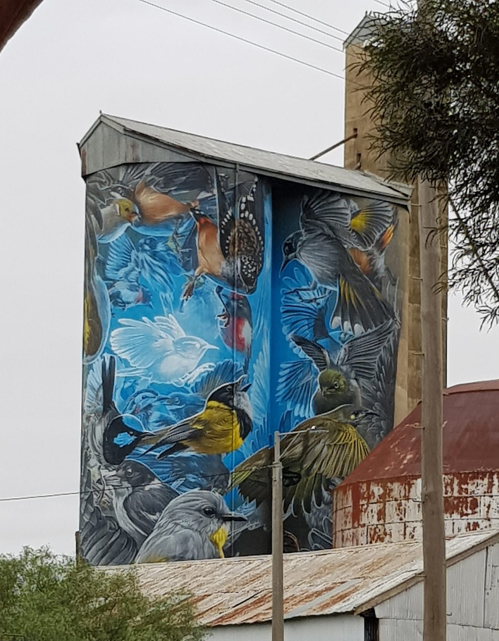 Mutoa Silo Art