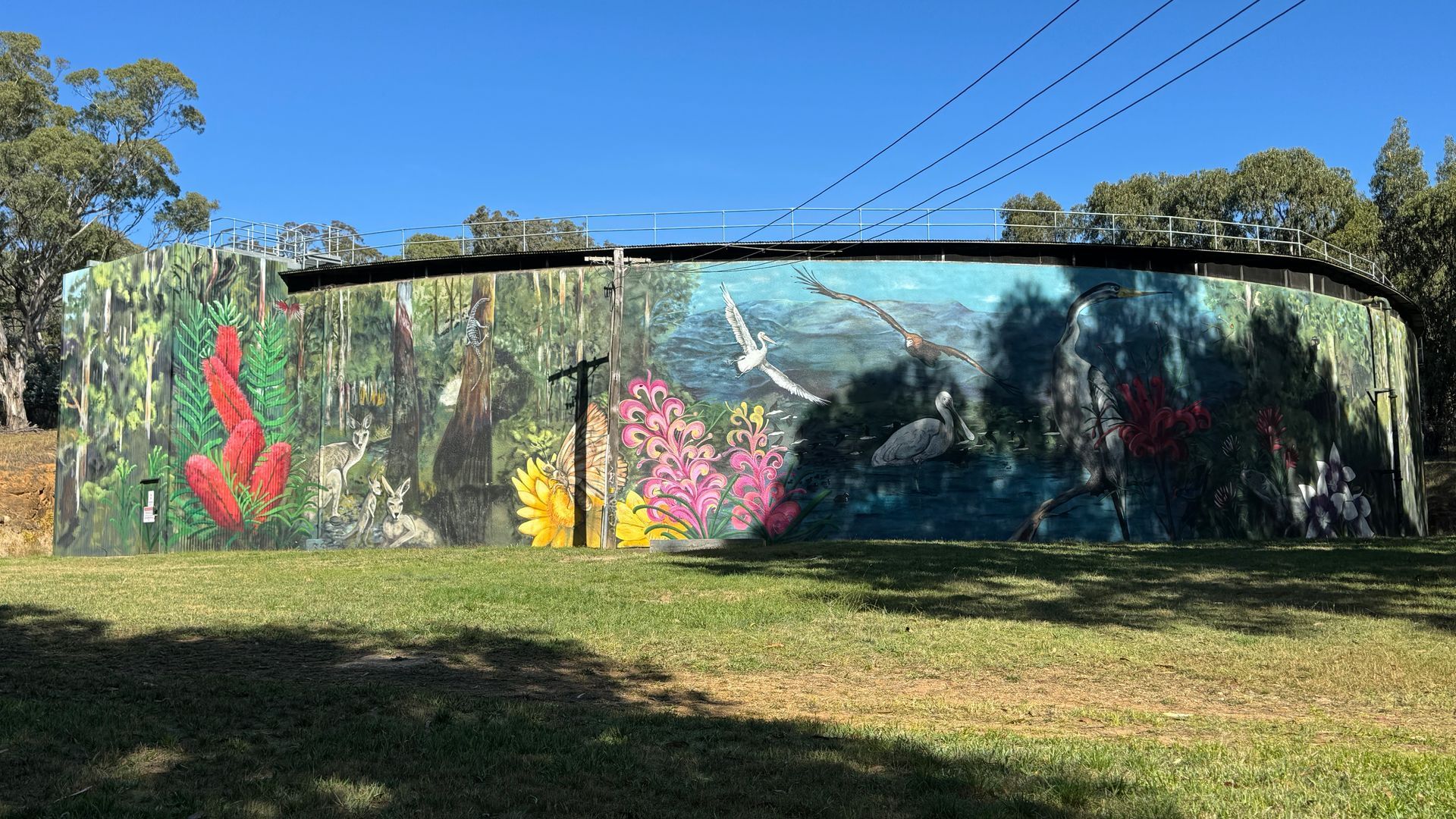 Narrabundah Water Tank Art