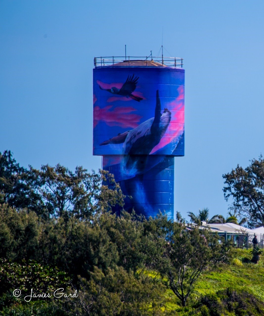 Slade Point Water Tower Art