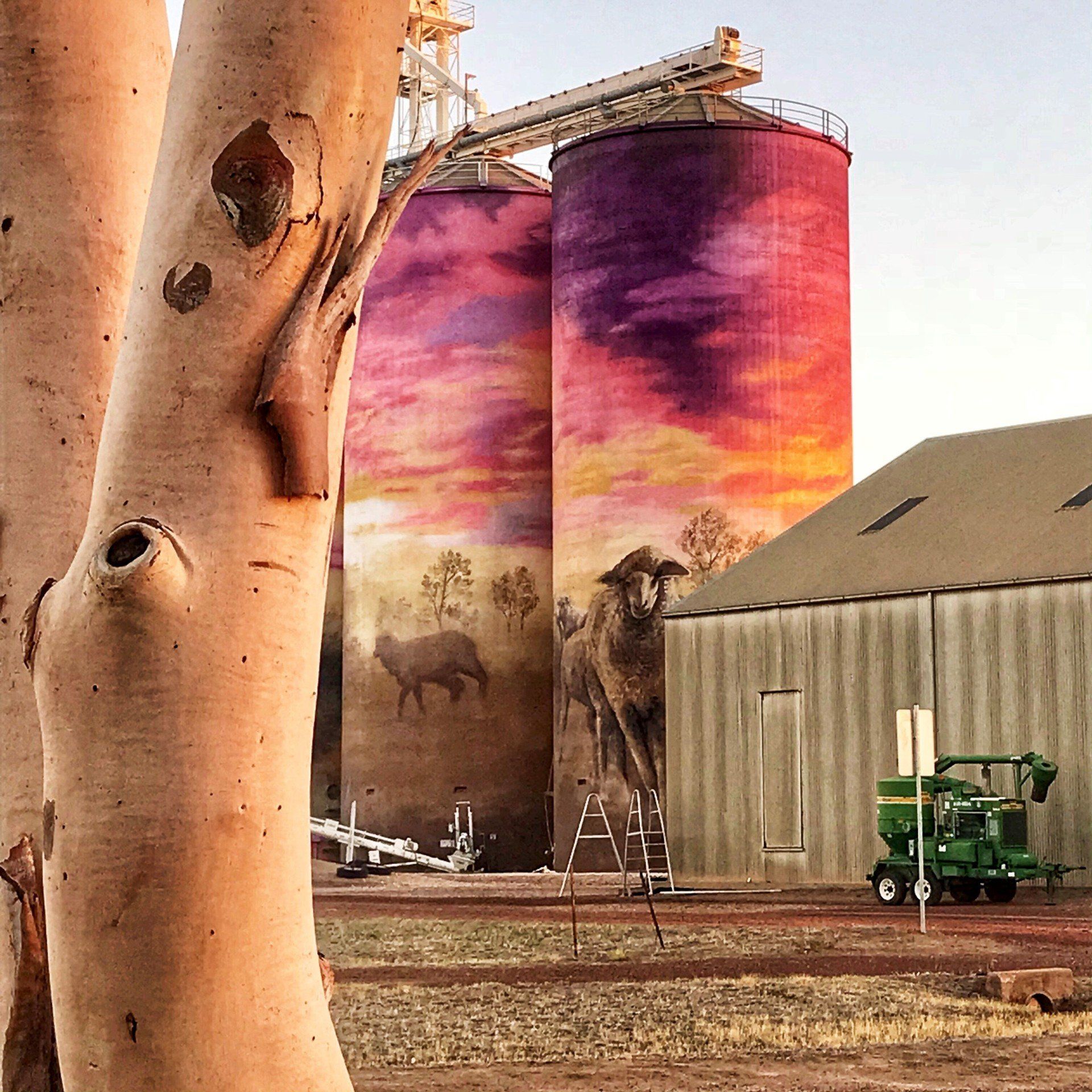 Australian Silo Art Trail Gallery of Photos
