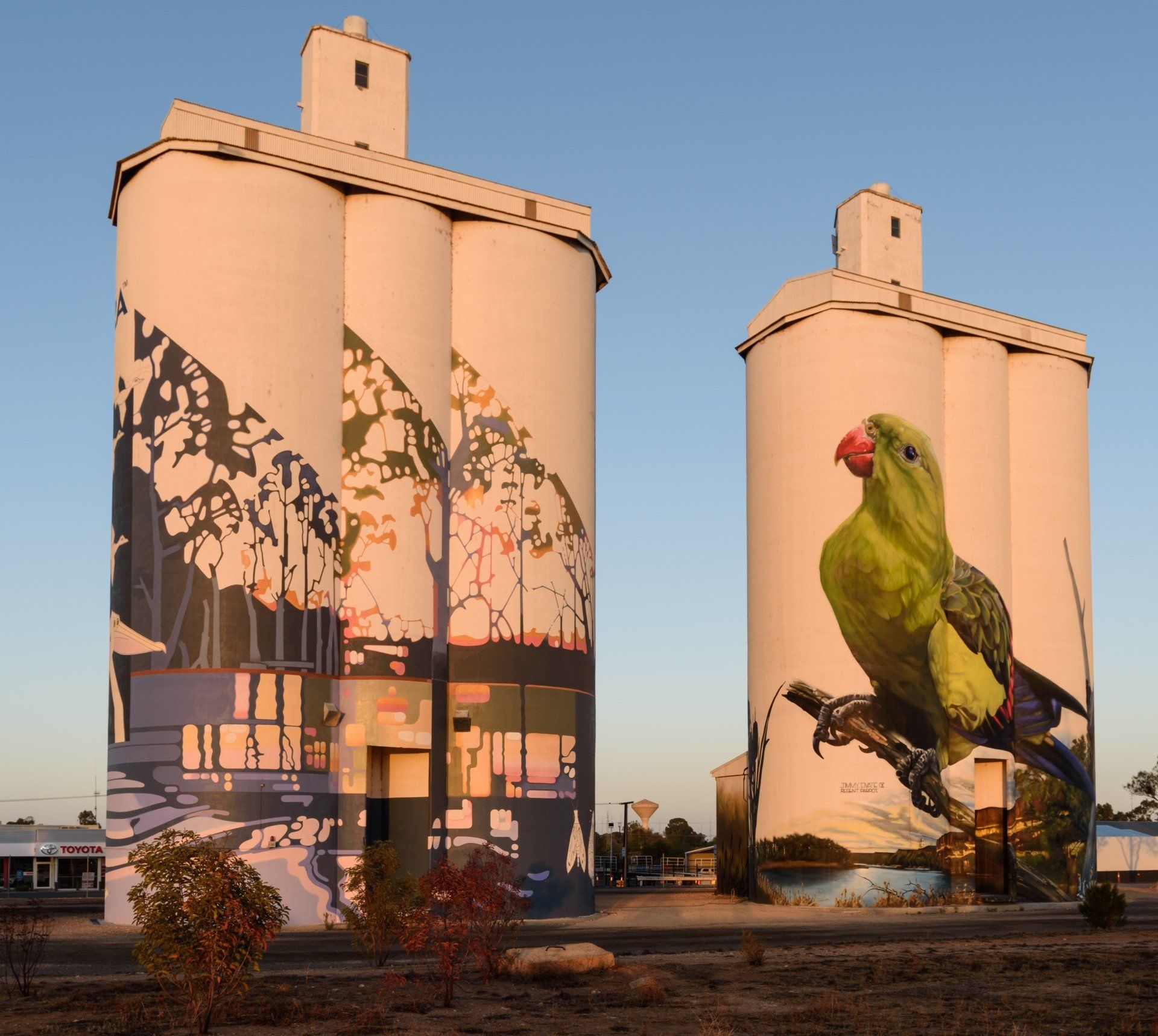 Australian Silo Art Trail Gallery of Photos