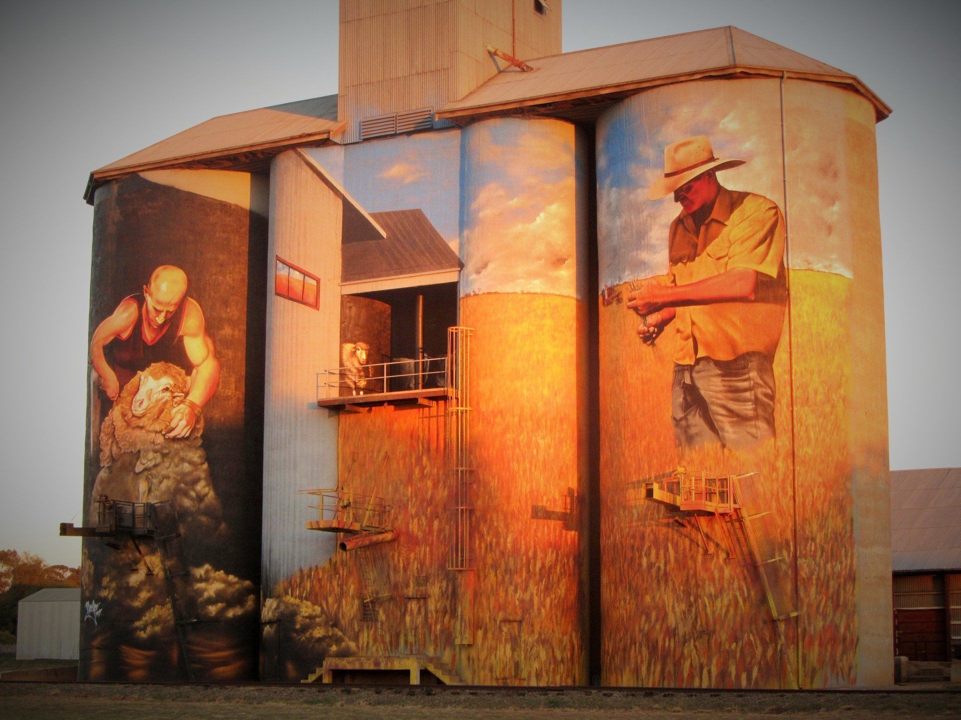 Australian Silo Art Trail Gallery of Photos