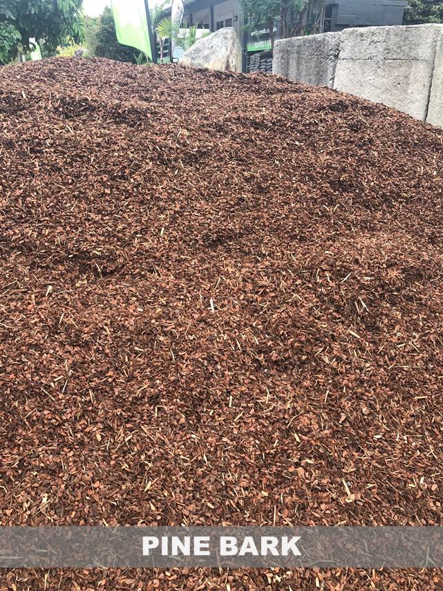 Anna Bay Sand & Earthmoving - Anna Bay, NSW - Home