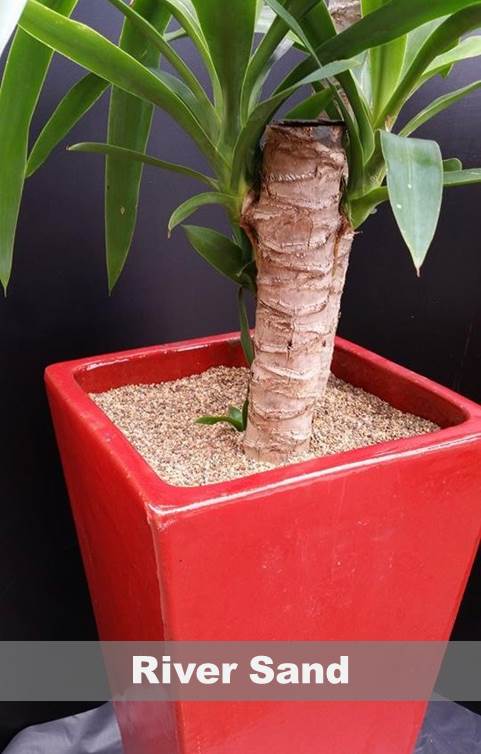 Anna Bay Sand & Earthmoving - Anna Bay, NSW - Home