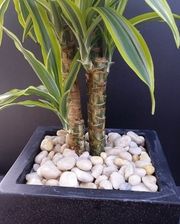 Anna Bay Sand & Earthmoving - Anna Bay, NSW - Home