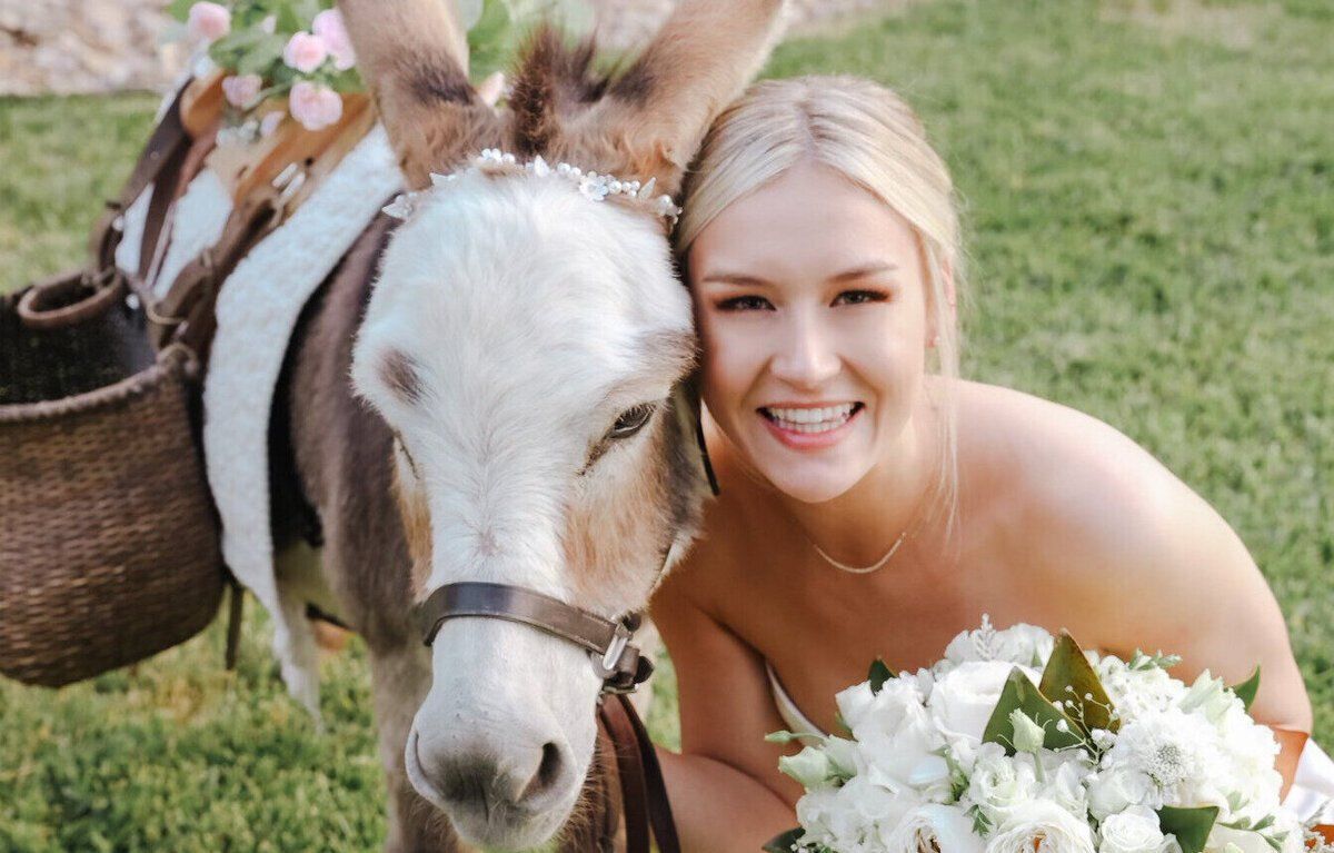 Dallas Fort Worth Wedding Donkey Beer Burros | Darlin Donkeys Events
