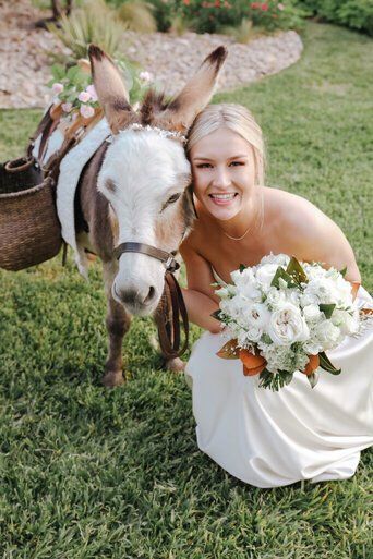 Darlin' Donkey Events | Wedding Donkeys and Beer Burros | TX
