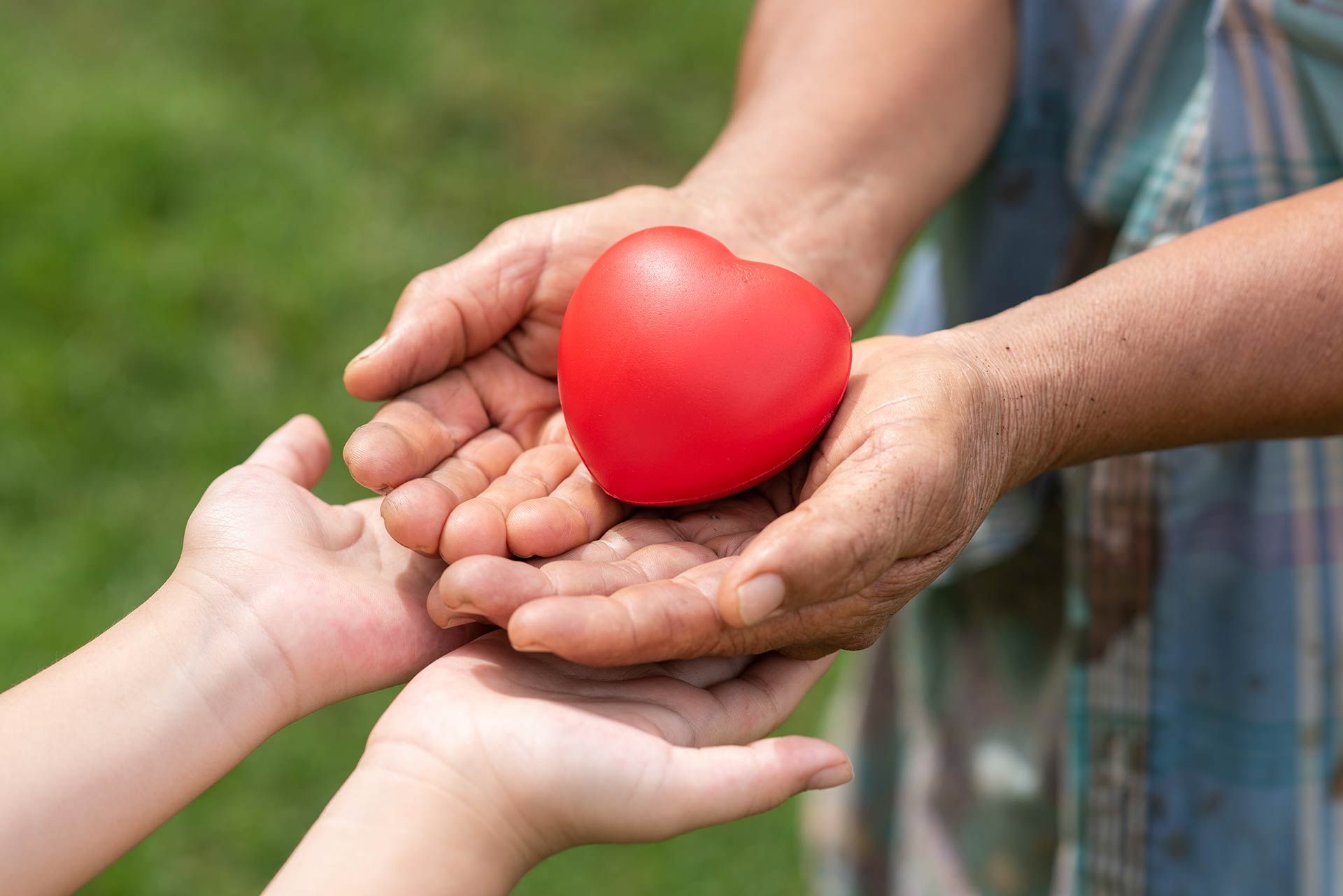 Supporting Charities Is Good For YOUR Health